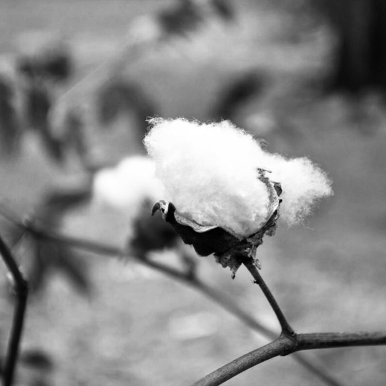 Towel Making Process - Sera Helsinki